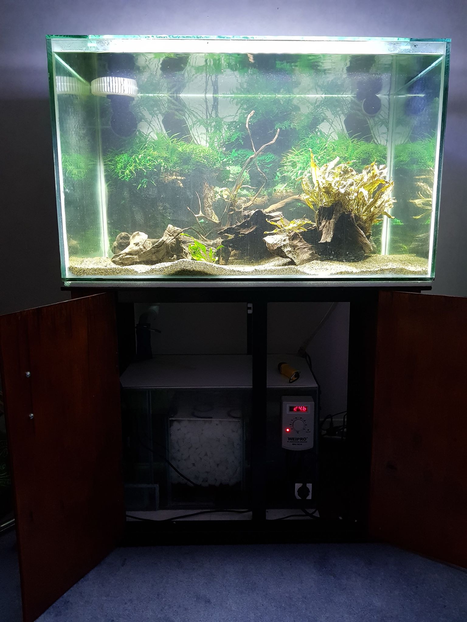 Monster Fish Tank